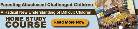 Post Institute — Reactive Attachment Disorder & Defiance in Adopted ...